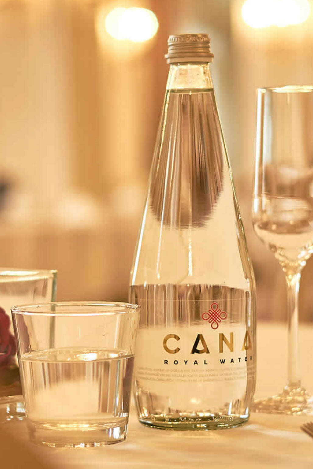 Acque di Lusso, Acque pregiate da tutto il mondo, Acque Premium